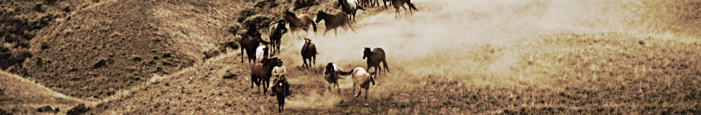 British Columbia Chilcotin War